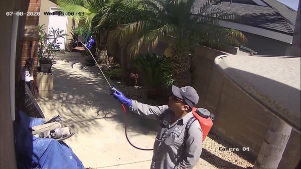 PRO PACIFIC PEST CONTROL - Updated July 2024 - 44 Photos & 262 Reviews ...