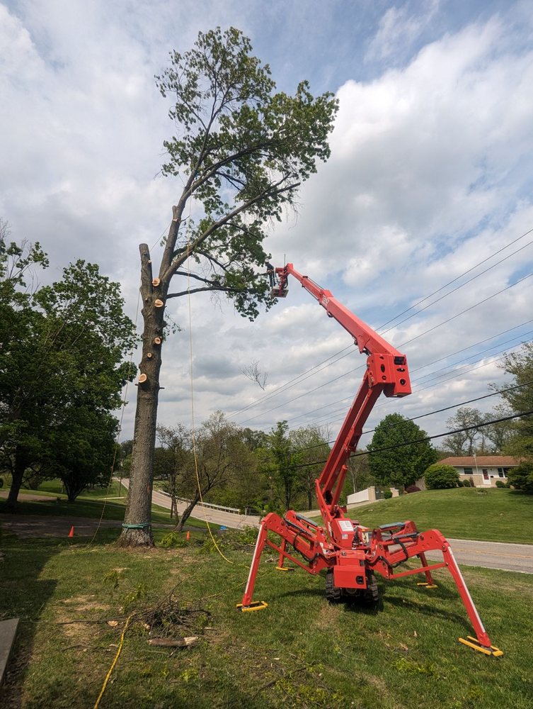 PAUL’S TREE REMOVAL - Updated July 2025 - 14 Photos - 5398 Nighthawk Dr ...