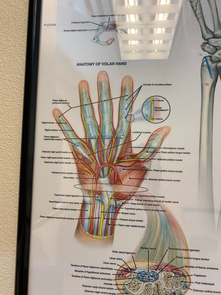 HAND SURGERY SPECIALISTS OF NEVADA - 10 Photos & 39 Reviews - 9321 W ...