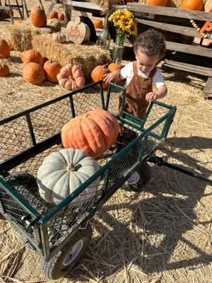 CHERRY ACRES - Updated December 2025 - 39 Photos & 18 Reviews - 4011 ...