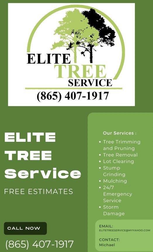 ELITE TREE SERVICE - Updated September 2025 - Powell, Tennessee - Tree ...
