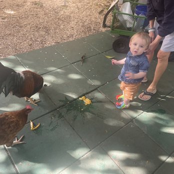 THE GIRLS STRAWBERRY U-PICK - Updated June 2024 - 952 Photos & 215 ...