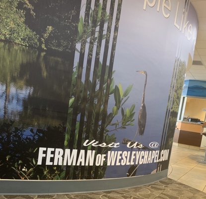 FERMAN CHRYSLER JEEP DODGE RAM - WESLEY CHAPEL - 126 Reviews & 28 ...