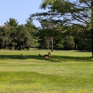 SPOOKY BROOK GOLF COURSE - Updated June 2025 - 582 Elizabeth Ave ...