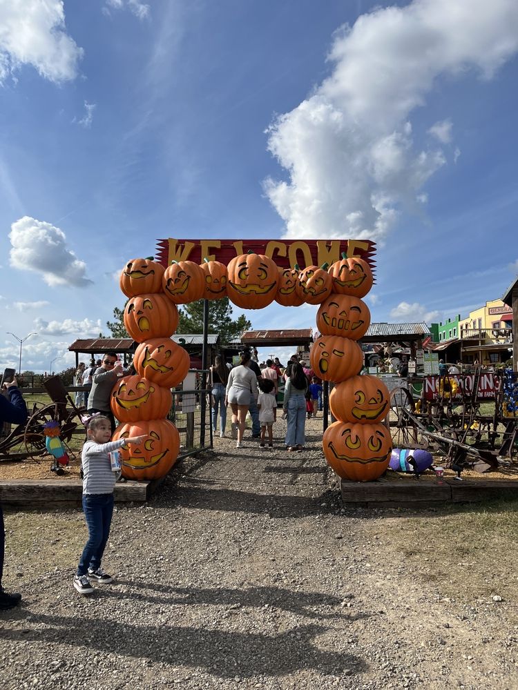 YESTERLAND FARM - Updated May 2024 - 91 Photos & 68 Reviews - 15410 I ...