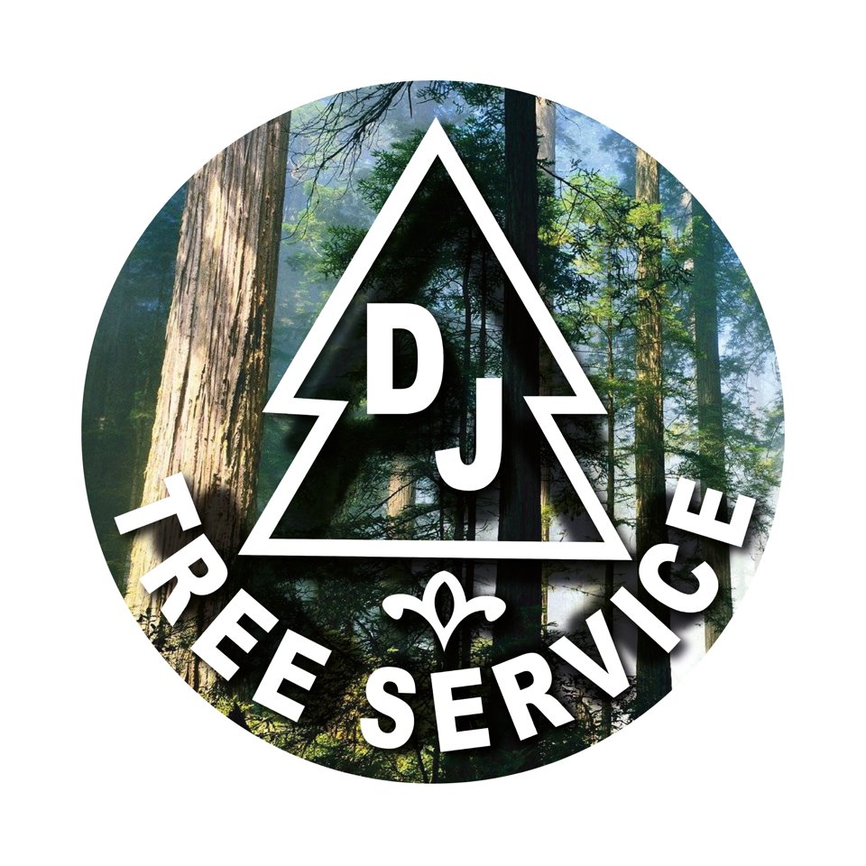 DJ TREE SERVICE - Updated December 2025 - Request a Quote - 24 Photos ...