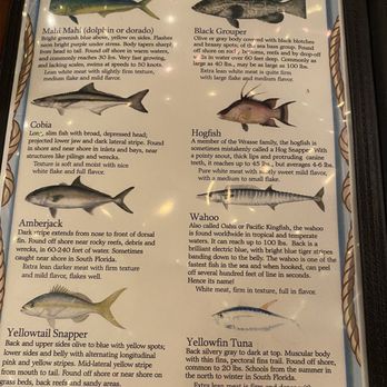 THE FISH HOUSE RESTAURANT & SEAFOOD MARKET - Updated June 2024 - 1870 ...