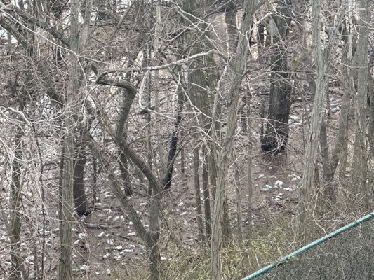 MICHAEL J TULLY PARK - Updated December 2025 - 43 Photos & 29 Reviews ...