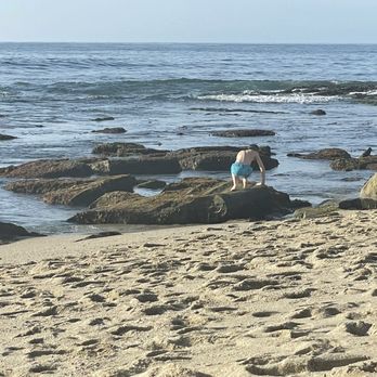 SHELL BEACH - Updated October 2025 - 196 Photos & 40 Reviews - Coast ...