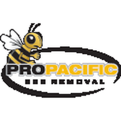 PRO PACIFIC PEST CONTROL - 44 Photos & 257 Reviews - 3026 E La Palma ...