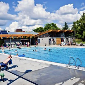FRED BROADSTOCK POOL - Updated September 2025 - 16 Photos - 15720 105 ...