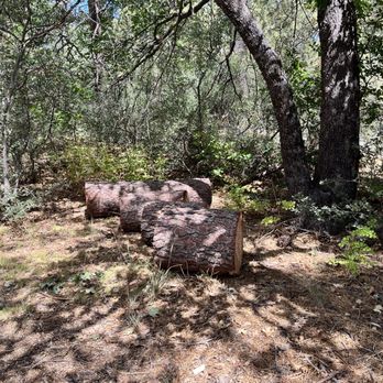 BURNT RANCHERIA CAMPGROUND - Updated January 2026 - 103 Photos & 81 ...