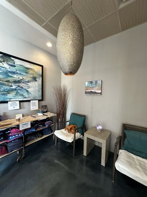 FLOAT MILWAUKEE - Updated November 2025 - 62 Photos & 50 Reviews - 211 ...