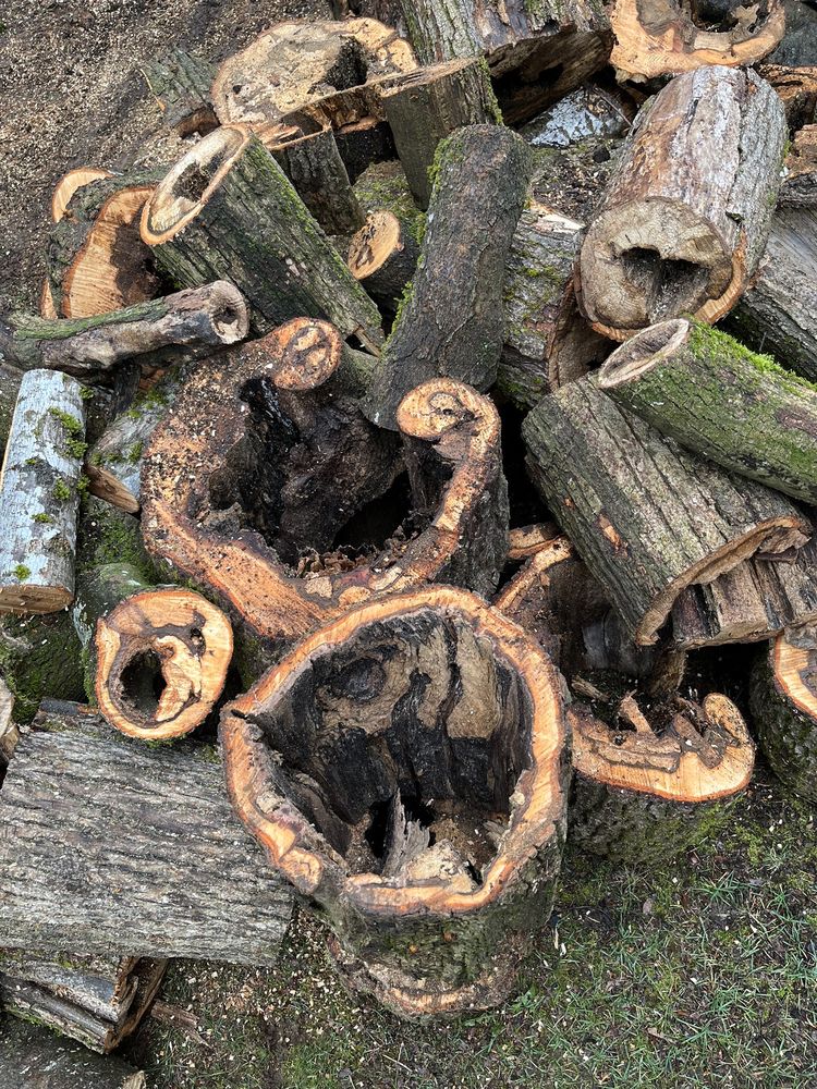 JOE GRAB TREE SERVICE - 57 Photos & 43 Reviews - Tualatin, Oregon ...