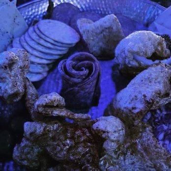 SPACE BAR - KNOXVILLE - Updated May 2025 - 146 Photos & 46 Reviews ...