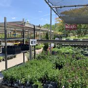 THE GREAT BIG GREENHOUSE & NURSERY - 50 Photos & 66 Reviews - 2051 Huguenot Rd, Richmond ...