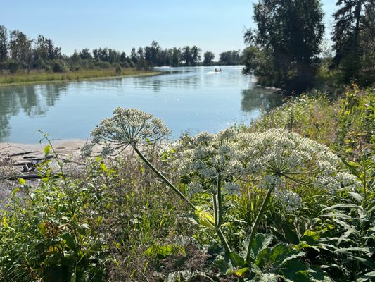 EAGLE ROCK BOAT LAUNCH - Updated March 2025 - 47004 Emery St Kenai ...