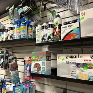 ABSOLUTELY FISH - Updated August 2025 - 74 Photos & 129 Reviews - 1080 ...