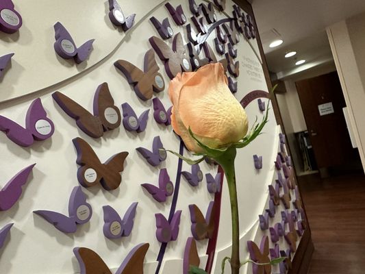 PALI MOMI WOMEN’S CENTER - Updated October 2025 - 108 Photos & 32 ...