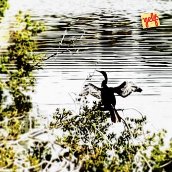 ST JOHNS COUNTY PUBLIC LIBRARY - PONTE VEDRA BEACH - Updated December ...