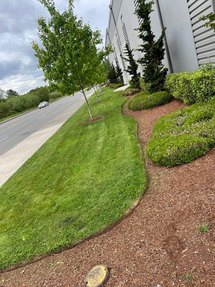 MARTIN’S LANDSCAPING - Updated April 2026 - Request Consultation ...