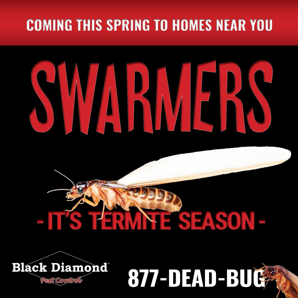 BLACK DIAMOND PEST CONTROL - Updated October 2025 - 10 Photos - 124 ...