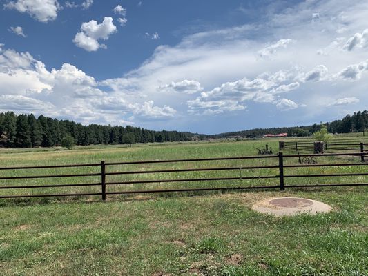 SHOW LOW BLUFF HIKING TRAIL - Updated November 2024 - 46 Photos - 769 S ...