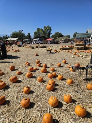 FERRARI FARMS - Updated October 2025 - 191 Photos & 69 Reviews - 4701 ...