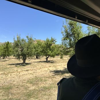 BLOOM RANCH OF ACTON - Updated June 2025 - 174 Photos & 66 Reviews ...