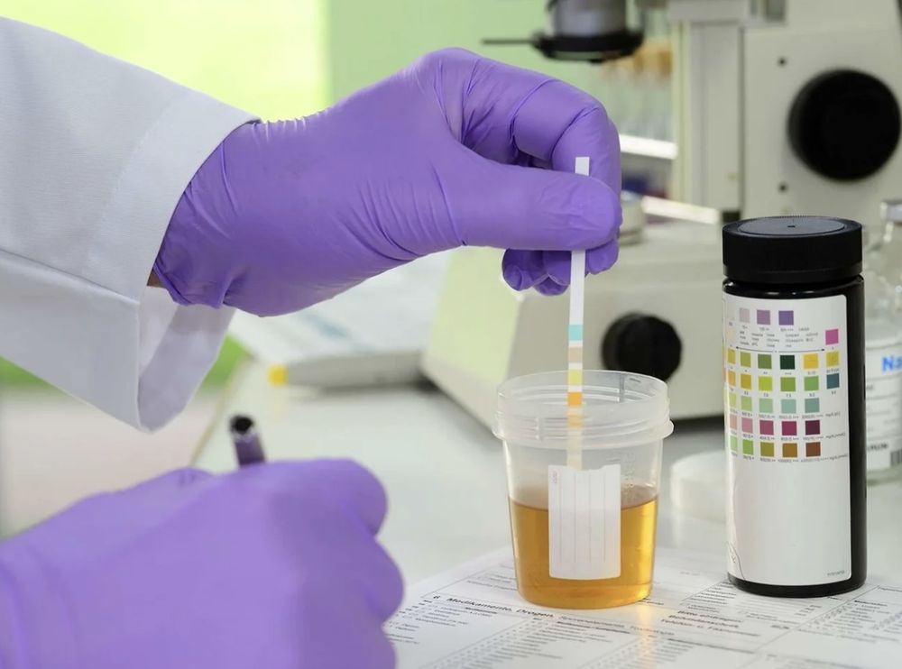 TRU3 LABORATORY - Updated December 2024 - Tavares, Florida - Laboratory ...