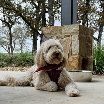 HALTER RANCH - Updated December 2025 - 77 Photos & 25 Reviews - 8561 US ...