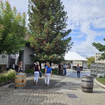 DEERFIELD RANCH WINERY - Updated March 2025 - 252 Photos & 192 Reviews ...