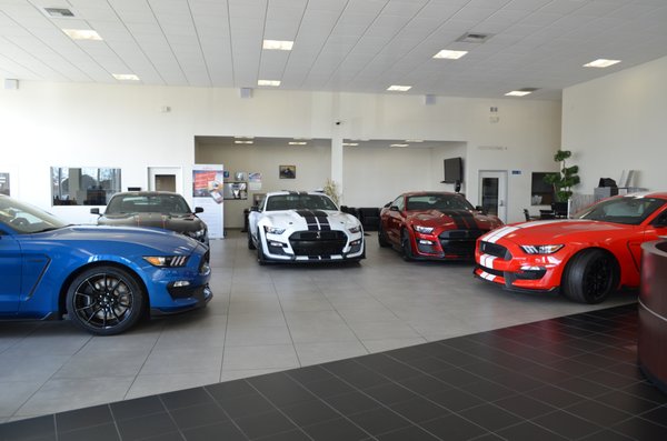 NAPA FORD - Updated August 2025 - 142 Photos & 262 Reviews - 570 Soscol ...