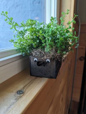 CROOK POINT BREWING - Updated July 2024 - 65 Massasoit Ave, East ...