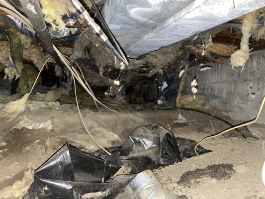 NORTHWEST CRAWL SPACE SERVICES - Updated December 2025 - 27 Photos & 13 ...