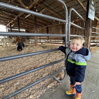 KNUTSON FARMS - Updated October 2024 - 61 Photos & 26 Reviews - 16406 ...