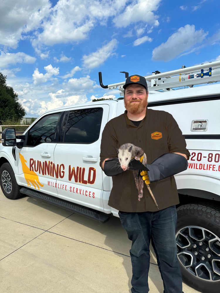 RUNNING WILD WILDLIFE SERVICES - Updated May 2024 - 31 Photos - 1300 S ...