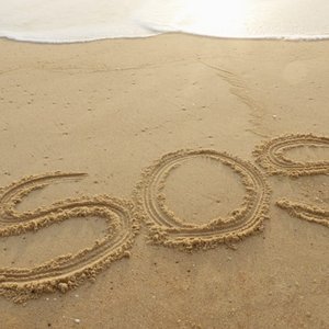 ARTERIX PEST CONTROL - Updated June 2025 - 33 Photos & 206 Reviews ...