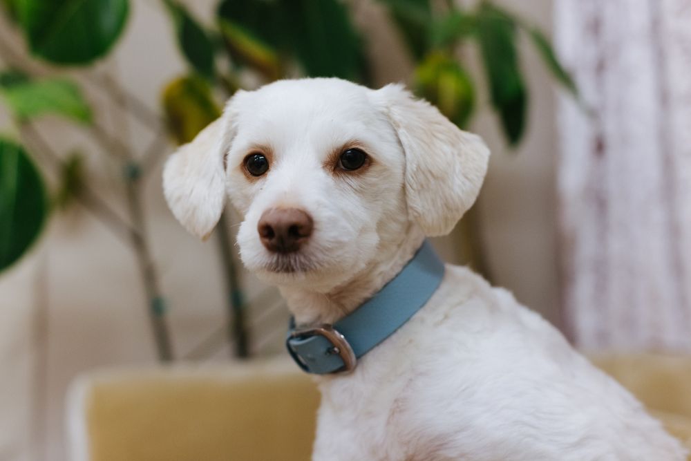 JUNE BUG TATTOO - Updated December 2025 - 33 Photos & 14 Reviews - 4315 ...