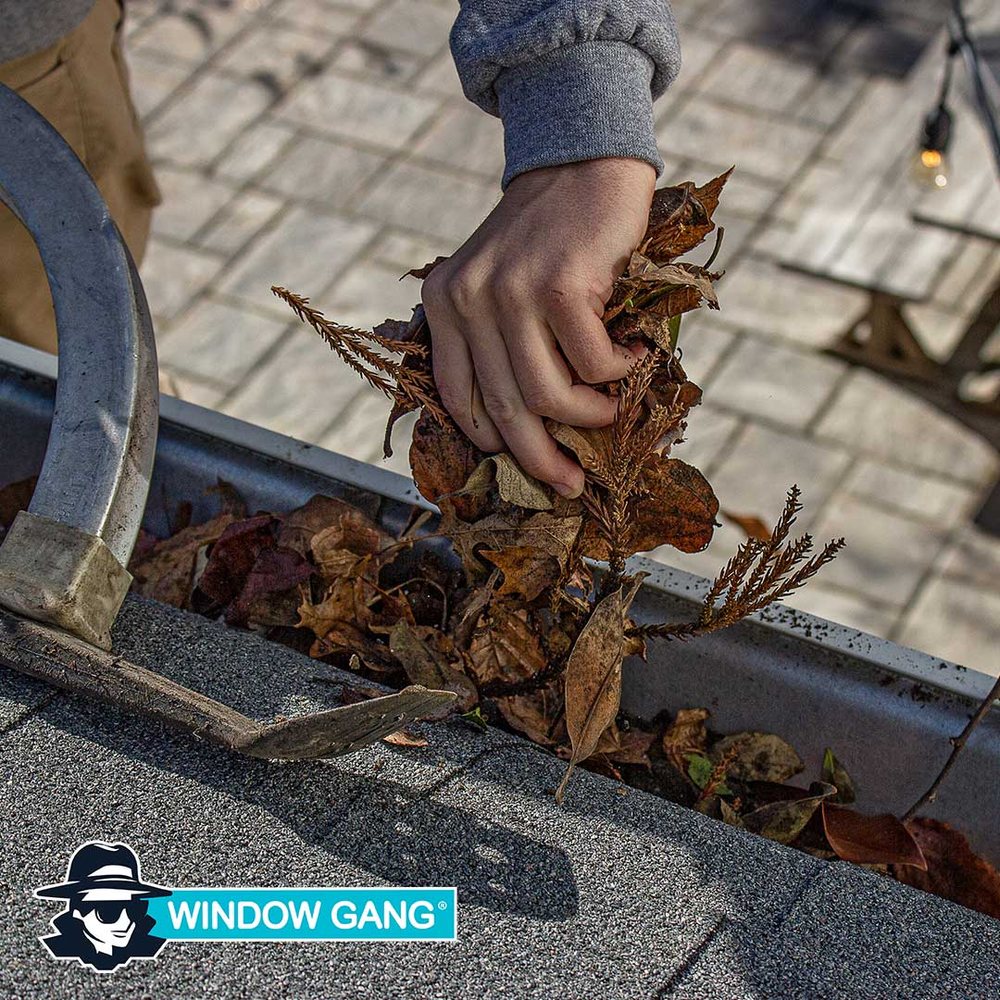 WINDOW GANG - ANDERSON, SC - Updated February 2025 - 22 Photos - Iva ...