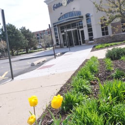 EDDIE MERLOT’S - Updated January 2026 - 210 Photos & 324 Real Reviews ...