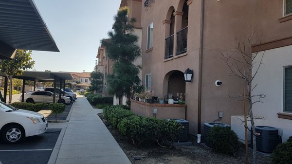 VIANO AT RIVERWALK - Updated October 2025 - 42 Photos & 71 Reviews ...