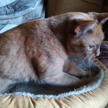 VAIL VALLEY ANIMAL HOSPITAL - EDWARDS - Updated January 2026 - 10 ...