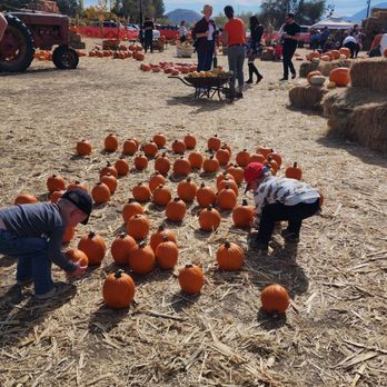 FERRARI FARMS - 145 Photos & 55 Reviews - 4701 Mill St, Reno, Nevada ...