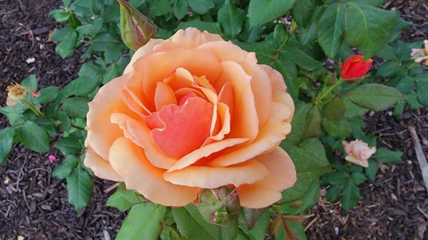 ASCENSION BORGESS HOSPITAL - Updated January 2026 - 25 Photos & 88 ...