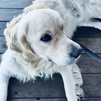 YETI FLAGSHIP STORE - Updated December 2025 - 529 Photos & 155 Reviews ...