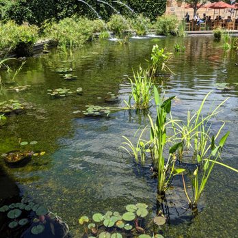 DREAMWORKS ANIMATION STUDIO - Updated January 2026 - 52 Photos & 18 ...