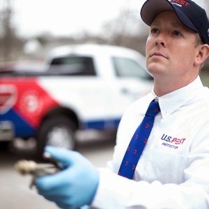 URBANEX PEST CONTROL - Updated October 2025 - 10 Photos & 54 Reviews ...