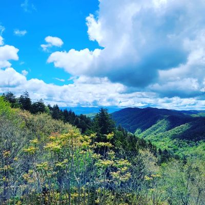 TENNESSEE NORTH CAROLINA STATE LINE - Updated October 2025 - Interstate ...