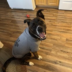 Best Vets Near Me - December 2025: Find Nearby Vets Reviews - Yelp